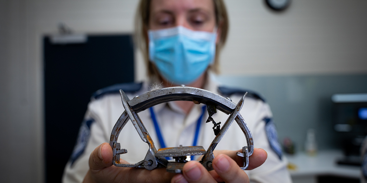 Steel-jaw traps must be banned | Blog | Animal Welfare | RSPCA Queensland