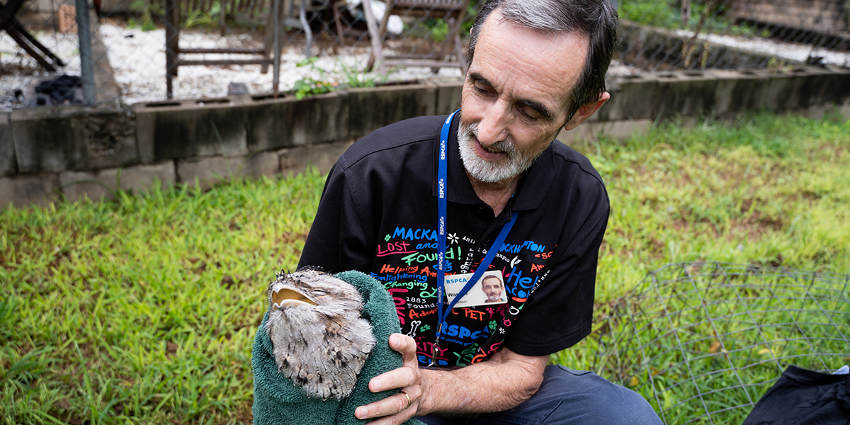 Volunteer Week 2021 | RSPCA Queensland